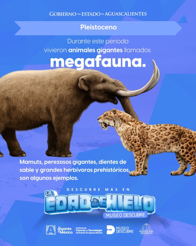 “LA EDAD DE HIELO DESPIERTA CURIOSIDAD Y ASOMBRO EN AGUASCALIENTES CON ...